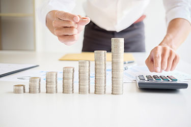 Fixed Income Instruments – AUM Wealth